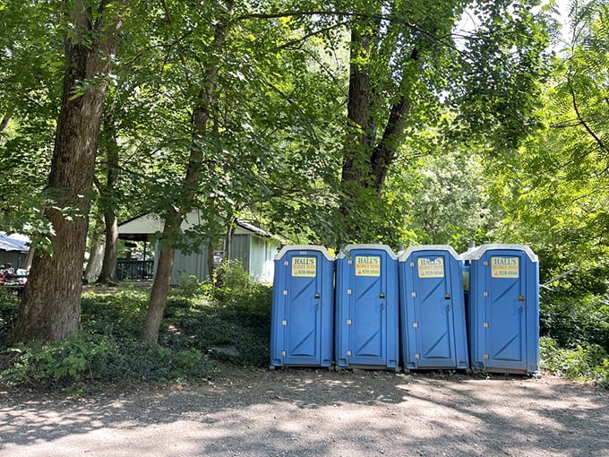 The unsung heroes of any outdoor adventure. These blue sentinels ensure your day of water fun isn't interrupted by nature's most persistent call.