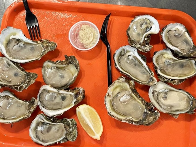 These raw oysters aren't just seafood; they're a direct conversation with the Gulf of Mexico, served on a humble orange tray.