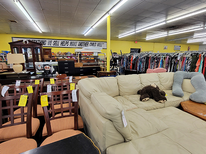 Sectional sofas with stories to tell. Each cushion has supported someone's Netflix marathon or family game night before finding its way here.