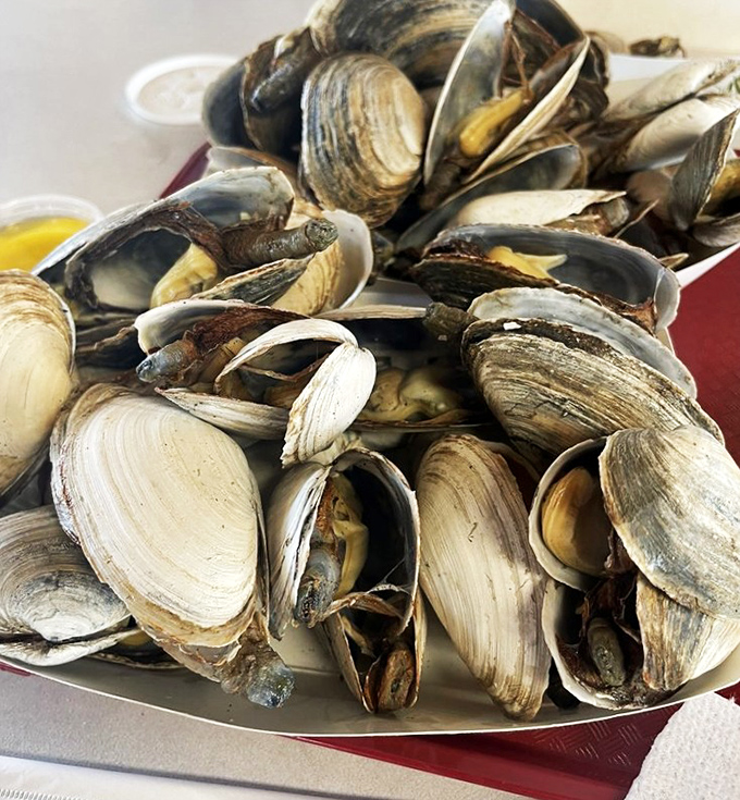 These steamers aren't just shellfish; they're time machines to every perfect New England summer day you've ever experienced, served with drawn butter.