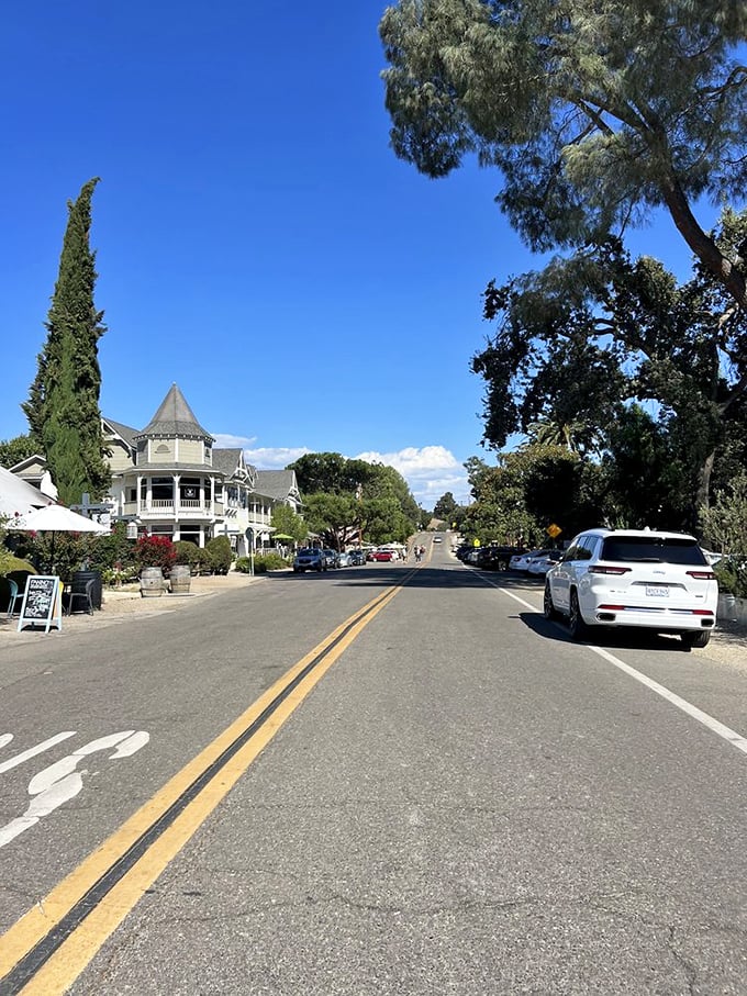 Los Olivos' tree-lined streets make you seriously contemplate selling your city condo. The real estate daydreams begin approximately ten seconds after arrival.