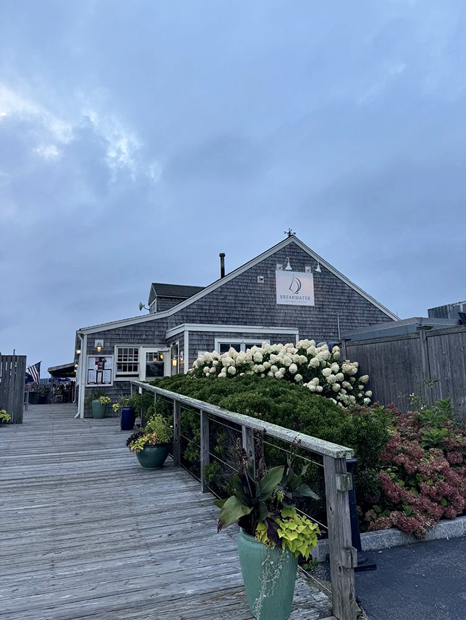BREAKWATER's deck blooms with hydrangeas, nature's way of saying, "The seafood inside is worth stopping for."