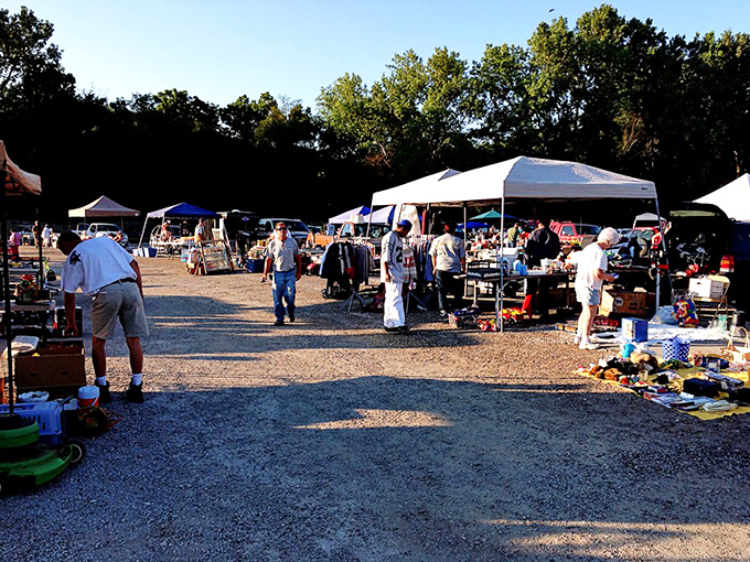 Boulevard Swap 'n' Shop's gravel pathways lead to unexpected discoveries. The thrill of the hunt in full swing!