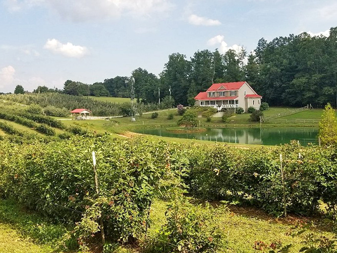 Hendersonville's welcoming storefronts line up like old friends ready for a good chat over coffee.