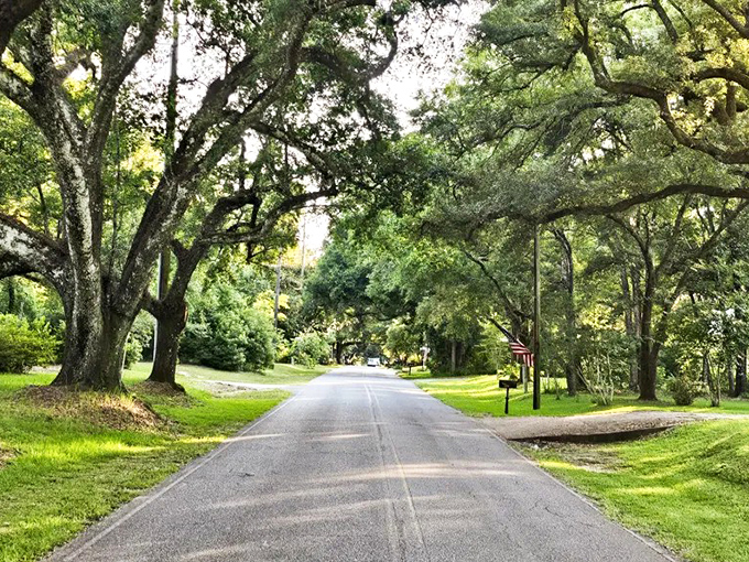 Magnolia Springs' oak-lined roads create nature's cathedral. The Spanish moss is just showing off at this point.