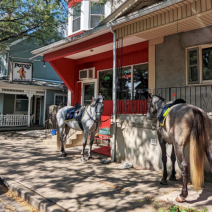 Potts' Doggie Shop: Where horses tie up outside while their owners tie into some of Bethlehem's most beloved hot dogs.