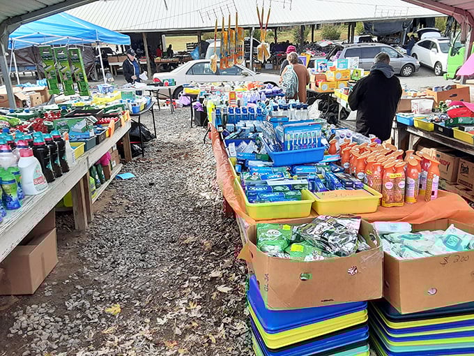 Sunlight filters through wooden rafters, illuminating treasures that whisper stories of America's handcrafted past.