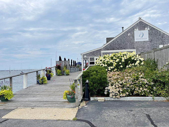 Where the wooden boardwalk meets the sea—BREAKWATER offers the kind of views that make you forget to check your phone.