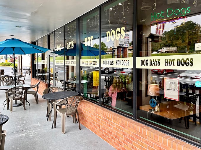The floor-to-ceiling windows invite you into a hot dog paradise where patio seating turns lunch into a proper celebration.