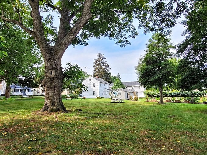Havre de Grace: From this bird's-eye view, the town looks like it was arranged by someone with an excellent sense of composition.