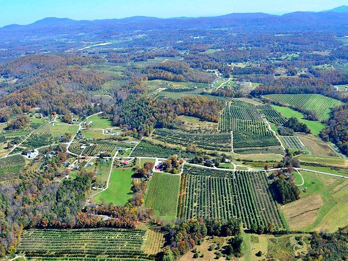 Even the buildings in Hendersonville are dressed to impress, with architecture that whispers stories of yesteryear.