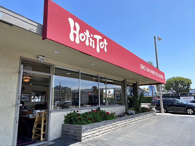 Hot N Tot: Mid-century modern meets morning magic. The kind of place where pancakes arrive looking like they've been practicing for their close-up.