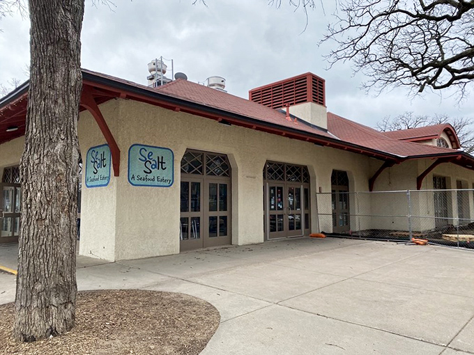 At Sea Salt Eatery, those trees aren't just for shade &ndash; they're witnesses to countless "OMG this is amazing" moments over fish tacos and cold drinks.