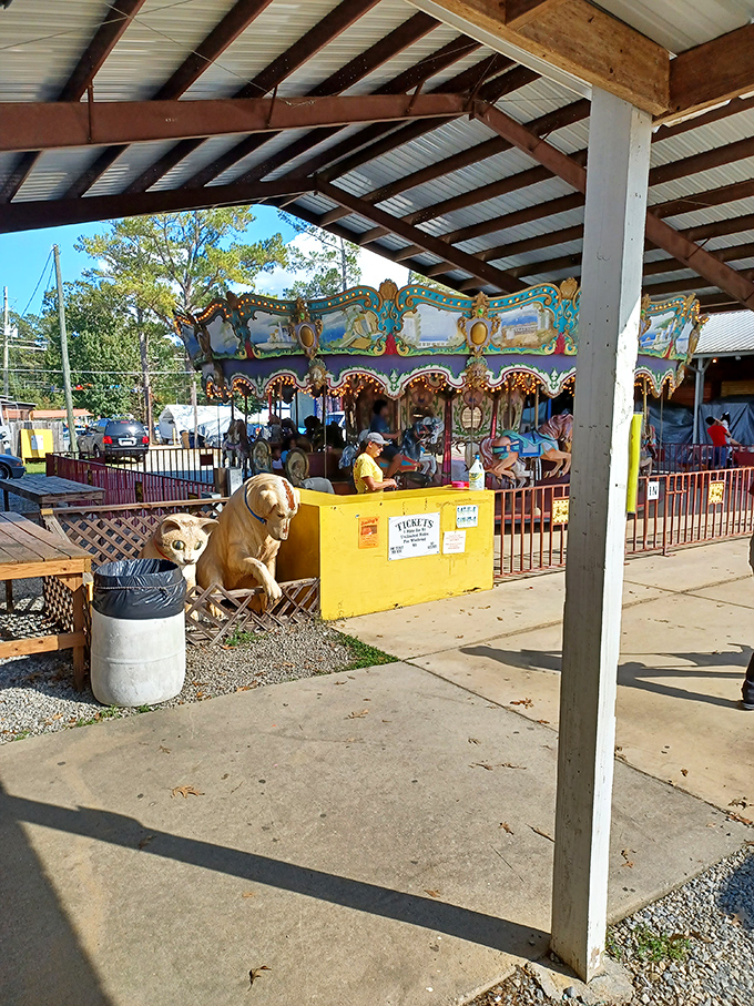 Nostalgia on spin cycle. Smiley's perfect blend of amusement park charm and serious treasure hunting creates a uniquely Georgian experience.
