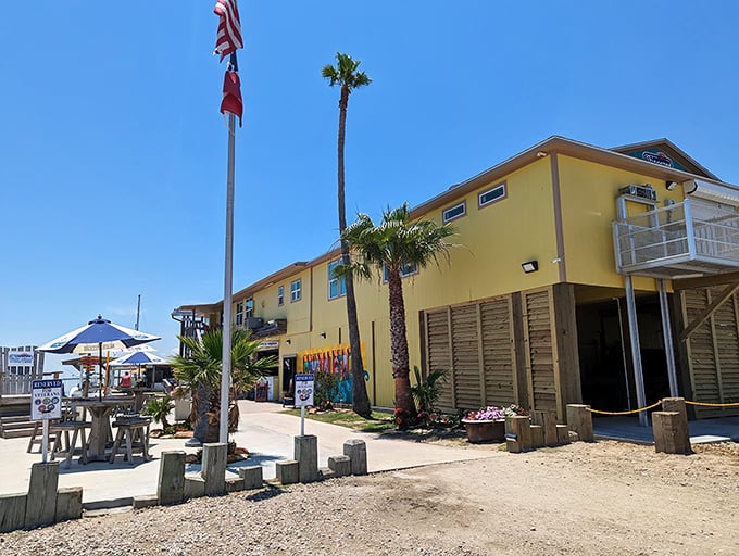 Simple wooden chairs, million-dollar views, and seafood so fresh it practically introduces itself before jumping on your plate.