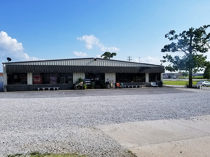 Where vintage meets value! Each booth offers a different treasure hunt, curated by folks who know the difference between junk and gems.