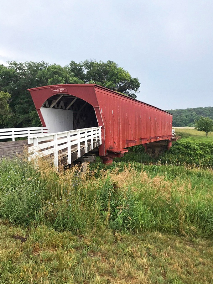 The kind of main street that makes you want to open a quirky little shop selling things nobody needs but everyone wants.