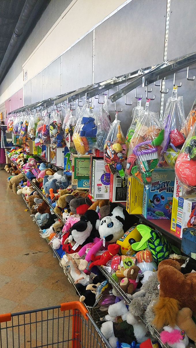 Stuffed animal kingdom! These plush companions patiently wait for their forever homes, creating a colorful mountain of childhood nostalgia.