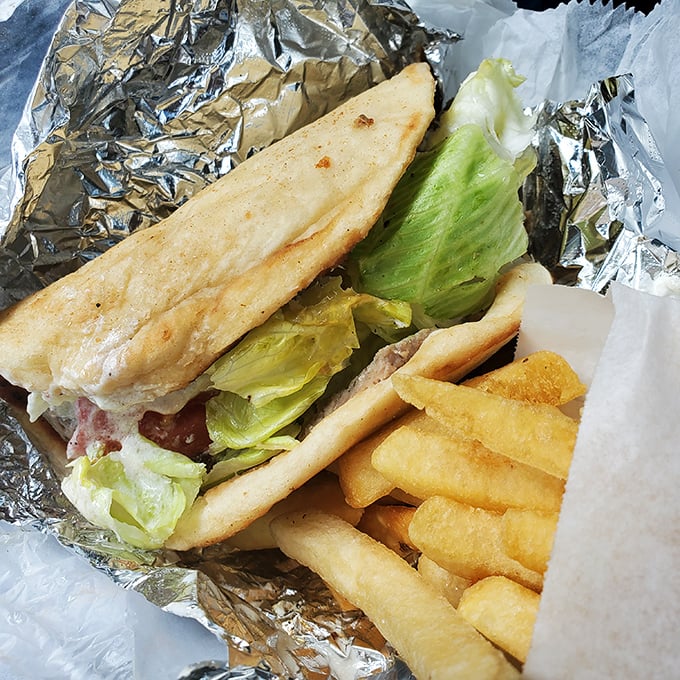 When your gyro brings a friend named "French Fry" to the party, you know it's going to be a good day. Simple pleasures, profound satisfaction.