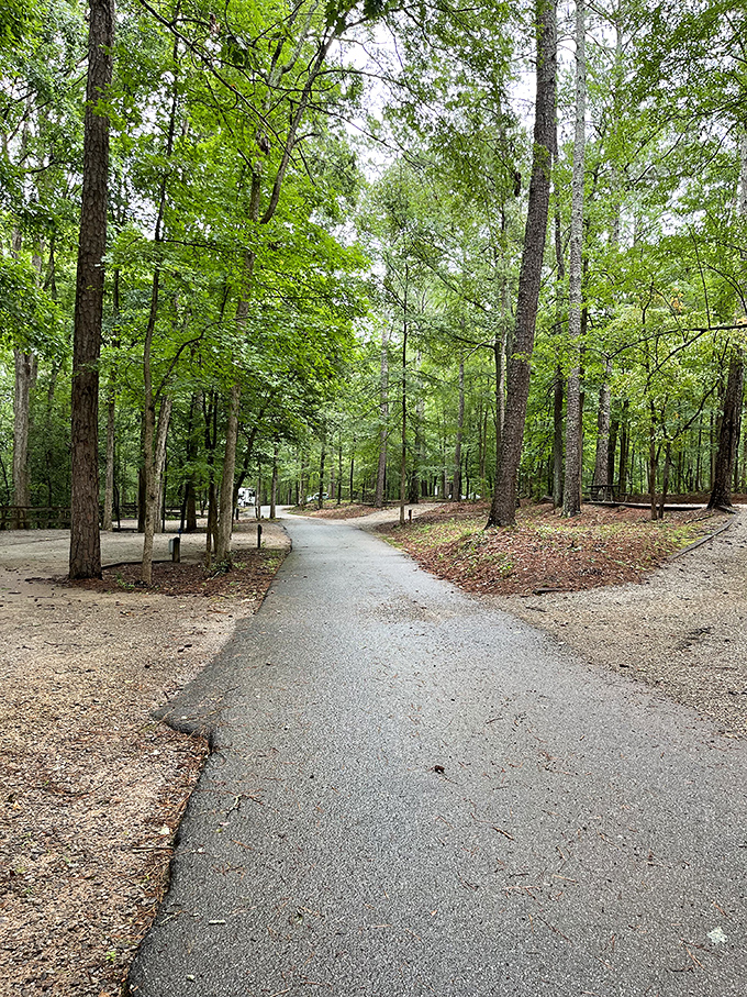 A path that whispers, "Slow down, you're in Georgia now." These winding trails through towering pines invite exploration at a pace that honors the surroundings.