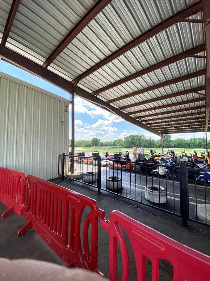 The starting grid of champions. These colorful chariots await their next drivers, each promising the thrill of victory and the agony of being passed by a 12-year-old.