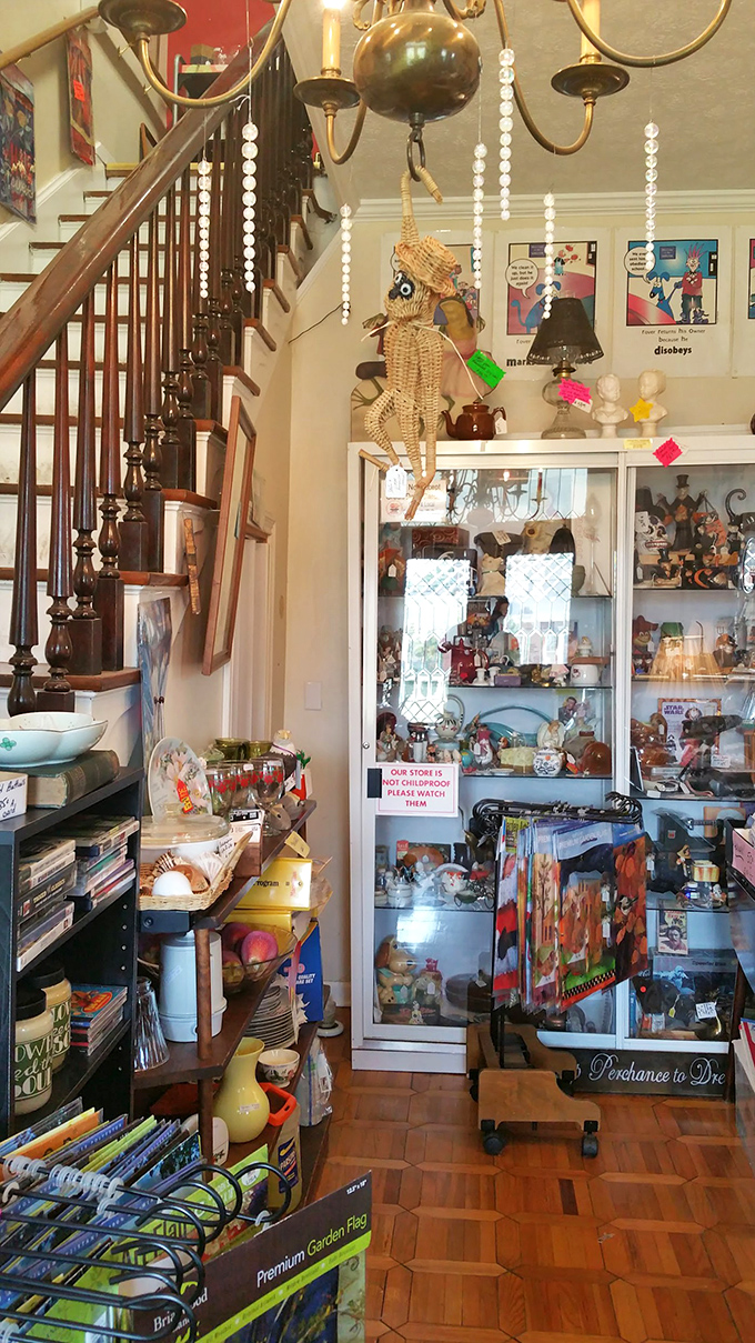 That wicker monkey hanging from the chandelier? He's seen things. So has that wooden staircase leading to even more delightful chaos.