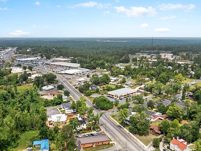 From above, Marianna reveals itself as a verdant oasis, where trees outnumber buildings in the kind of ratio environmentalists dream about.