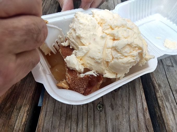 Ice cream melting into warm apple dessert &ndash; nature's most perfect relationship. Like Astaire and Rogers, they're good separately but transcendent together.