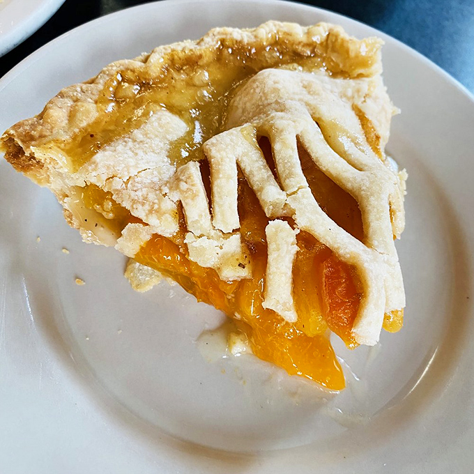 A slice of apricot pie that's basically summer captured between two crusts. That golden filling glows with more promise than retirement brochures.