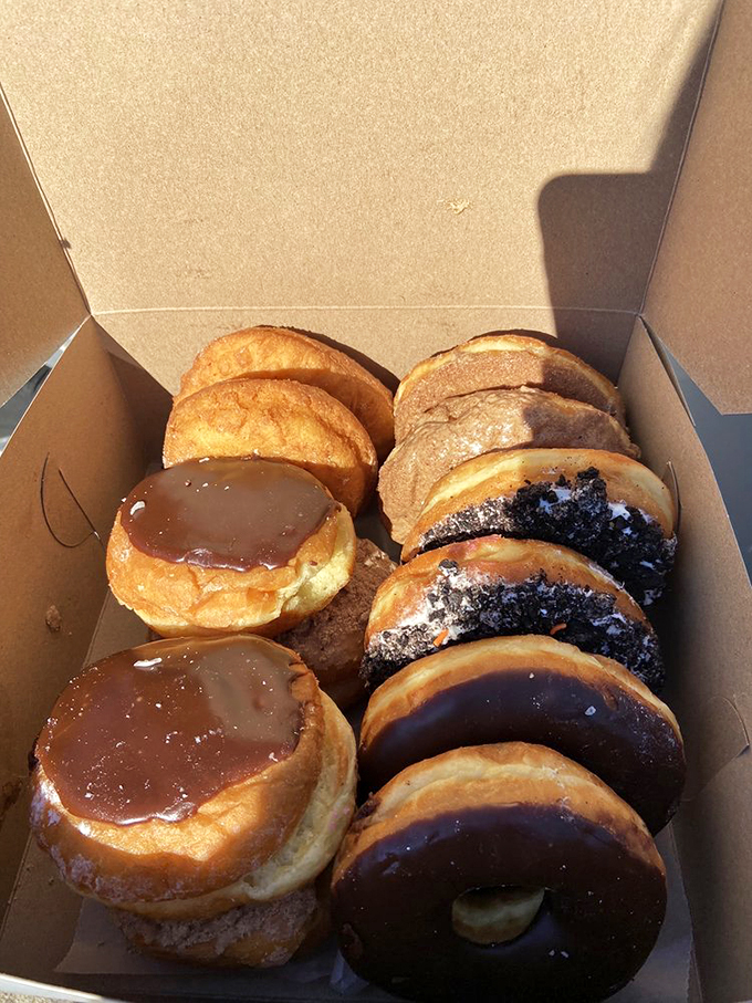 The hardest decision you'll make today: which circular masterpiece deserves a place in your box? Choose wisely, friends.