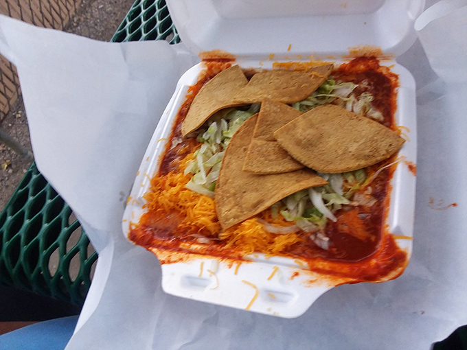 These enchiladas aren't just served—they're presented like edible art, with crisp tortilla chips standing at attention like they know they're in the presence of greatness.