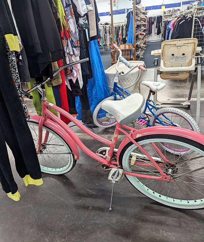 Pedal your way through memory lane. These bikes are ready to star in your own coming-of-age movie or mid-life crisis adventure.