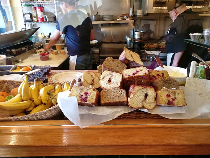Fresh-baked blueberry coffee cake waiting for its forever home. The fruit-to-cake ratio here would make Marie Antoinette reconsider her famous quote.