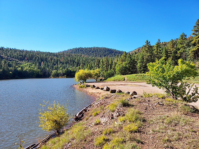 Nature's perfect mirror at Buckskinner Park. This hidden lake retreat offers a respite from desert heat with mountains reflected so clearly you'll think you're seeing double.