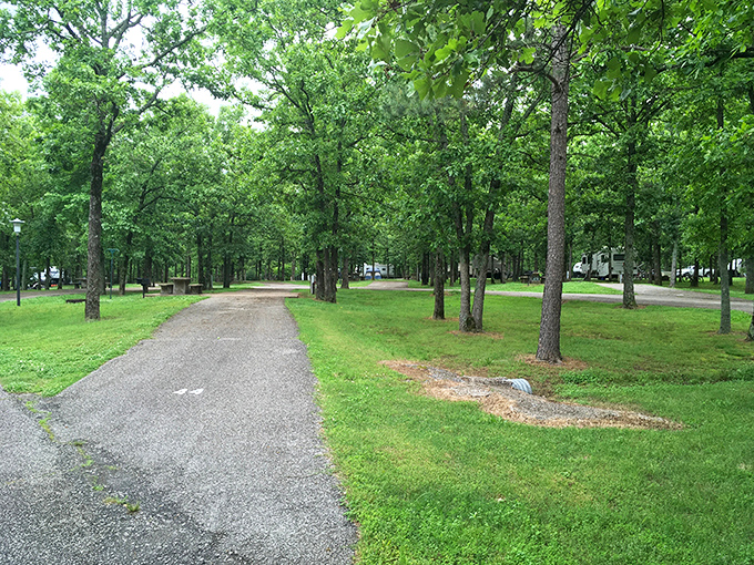 Where wilderness and accessibility perfectly intersect. The park's thoughtfully designed trails make this slice of paradise navigable for adventurers of all abilities.