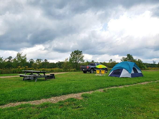 Camping 101: Pitch a tent, set up a picnic table, and prepare for the greatest ceiling decoration Mother Nature has ever designed.
