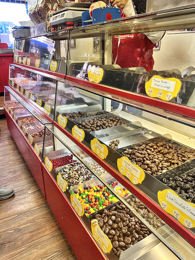 The display case isn't organized&mdash;it's curated, with chocolate-covered treasures and colorful confections arranged like an edible art gallery.