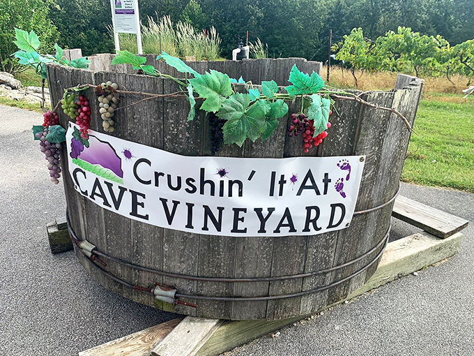 At Cave Vineyard, they're literally "crushin' it." This whimsical barrel welcomes visitors to one of Missouri's oldest wine regions, where French tradition meets Midwest hospitality.