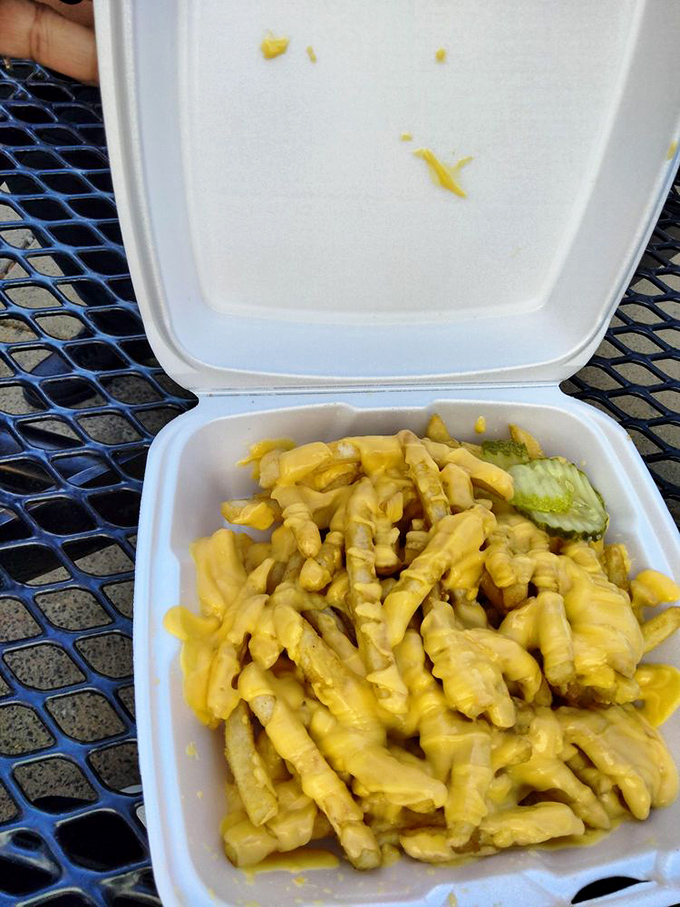 Cheese fries that glow like treasure in a fast-food Indiana Jones movie. The pickle slice is the unexpected hero we didn't know we needed.