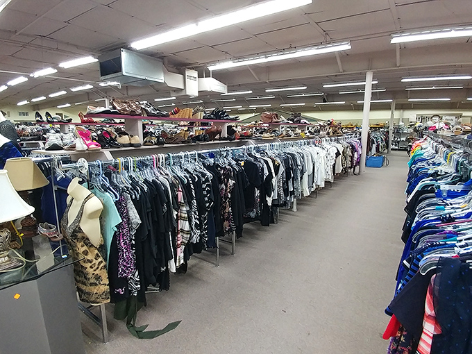 The clothing department stretches farther than my willpower, with racks meticulously organized by size and style instead of mystery and mayhem.