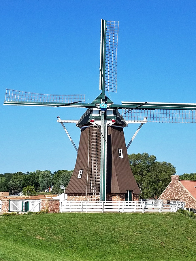 De Immigrant Windmill stands tall against the Illinois sky, a slice of Holland that doesn't require a passport or uncomfortable wooden shoes.