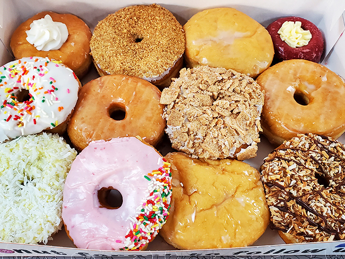 A dozen donuts arranged like edible jewels. The hardest part isn't choosing which one to eat first&mdash;it's stopping yourself after the third.