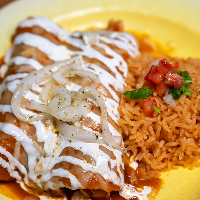 These enchiladas aren't just dressed—they're adorned like royalty. The sauce-to-cheese ratio would make a mathematician weep with joy.