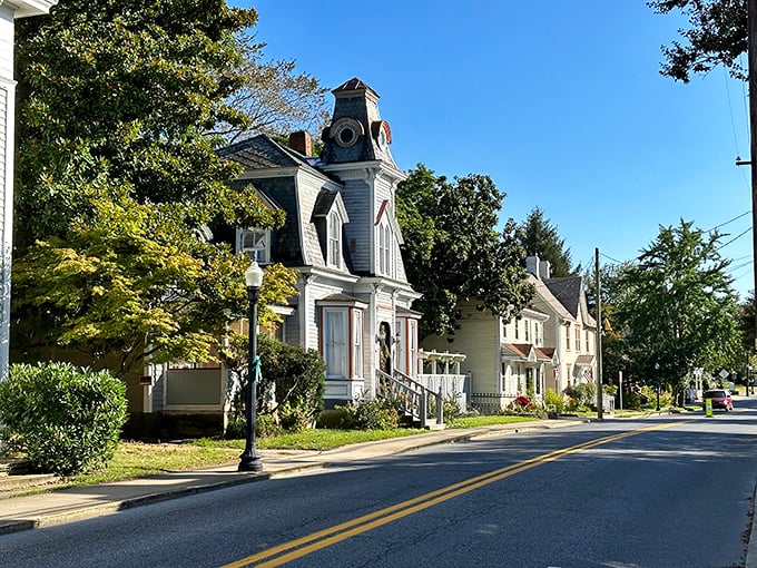 Federal Street's Victorian homes stand like elegant time travelers, their intricate details whispering stories from another century.