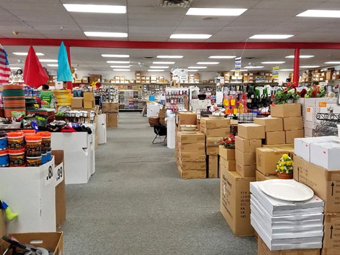 The beautiful chaos of commerce—aisles upon aisles of potential purchases under signs promising "closeouts" and "bargains" that deliver.