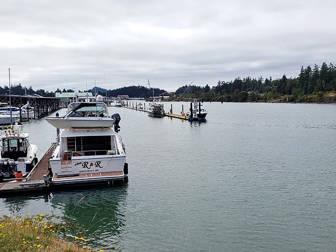 Boats bob gently in the marina, patiently waiting for their humans to finish that second cup of coffee.