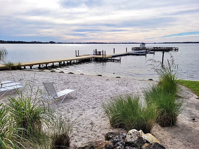 Wooden docks stretch into Lake Dora's peaceful waters, offering the perfect spot to contemplate life or pretend you're considering buying a boat.