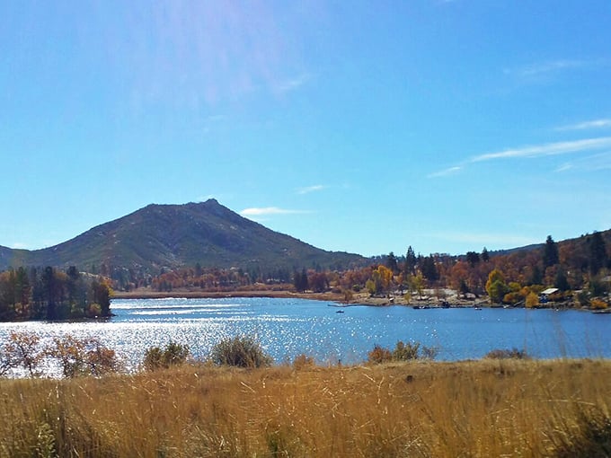 Lake Cuyamaca offers a serene mountain backdrop that makes you forget you're just an hour from San Diego's beaches and boardwalks.
