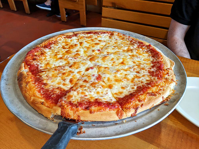 The classic cheese pizza at Nicola's achieves that perfect balance of sauce-to-cheese ratio that pizza scientists have been trying to replicate for decades.