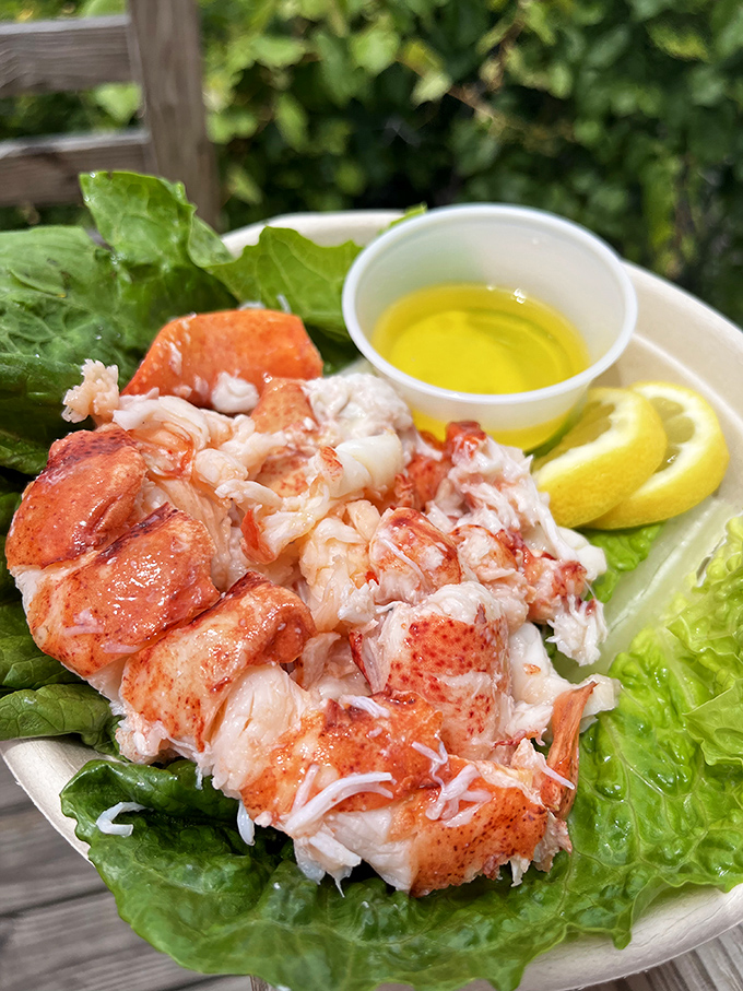 Simple perfection: Fresh lobster meat on crisp lettuce with lemon and drawn butter&mdash;proving that sometimes less really is shore-to-table more.